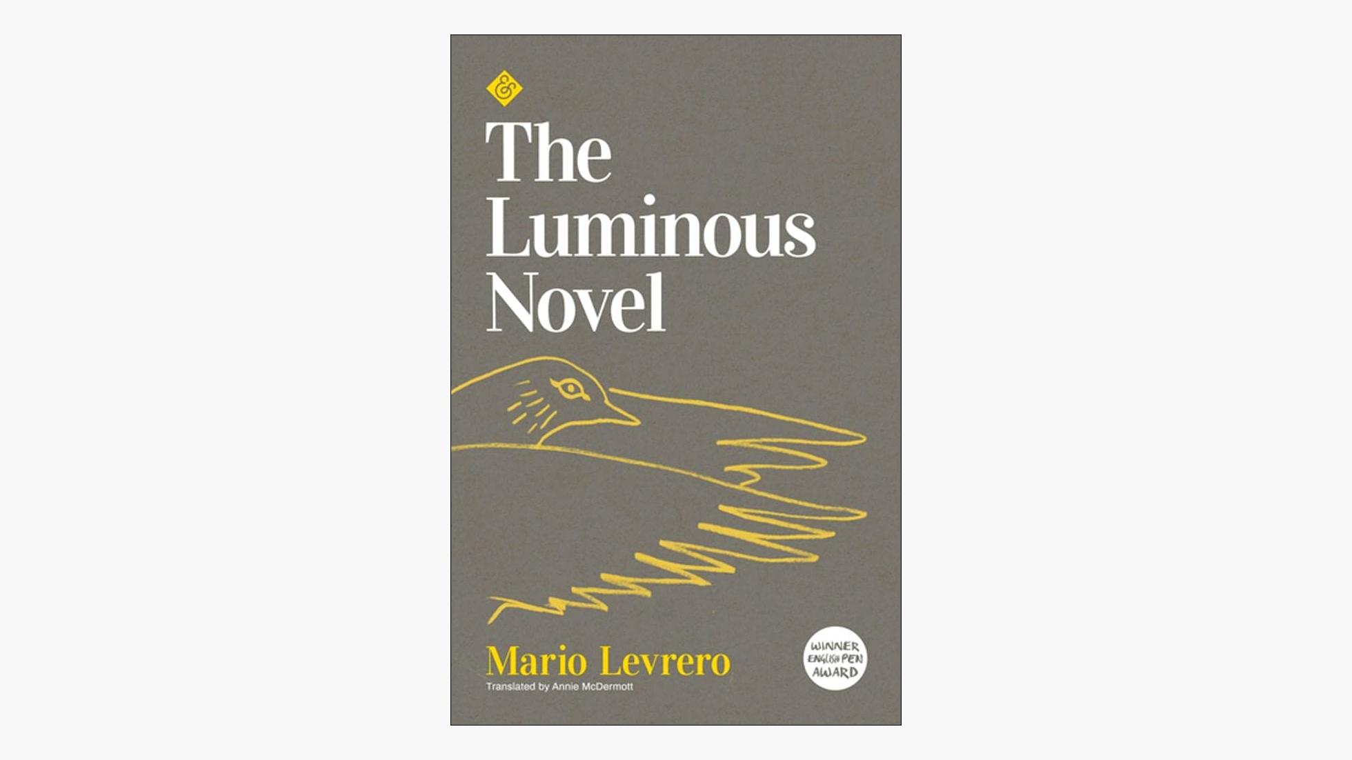 The Luminous Novel – Mario Levrero | Full Stop