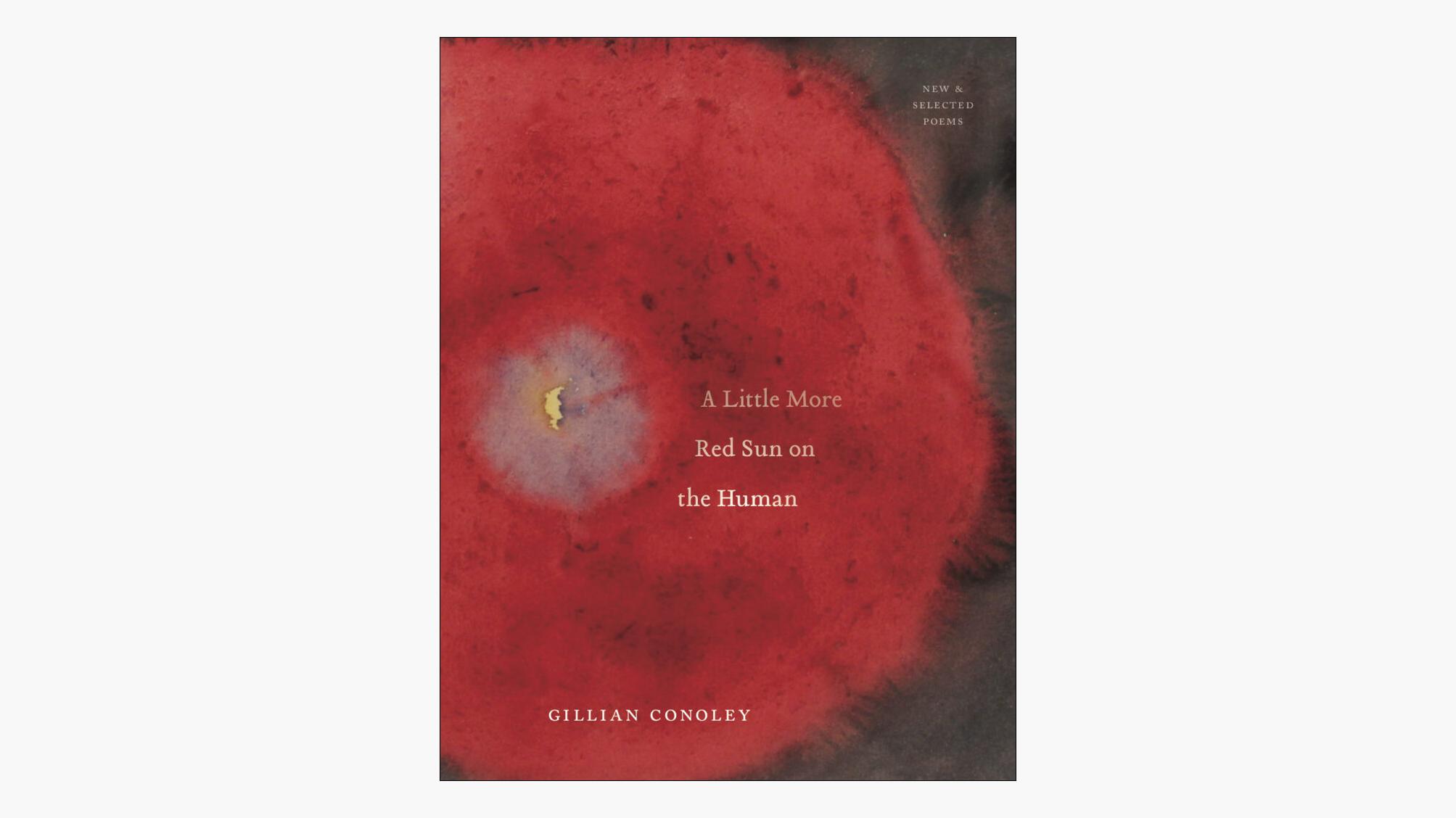 A Little More Red Sun on the Human: New and Selected Poems – Gillian ...
