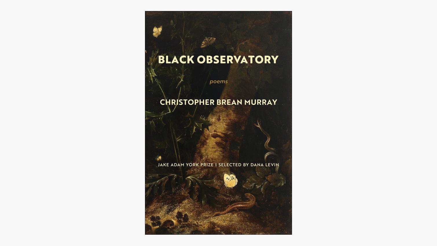 Black Observatory – Christopher Brean Murray | Full Stop