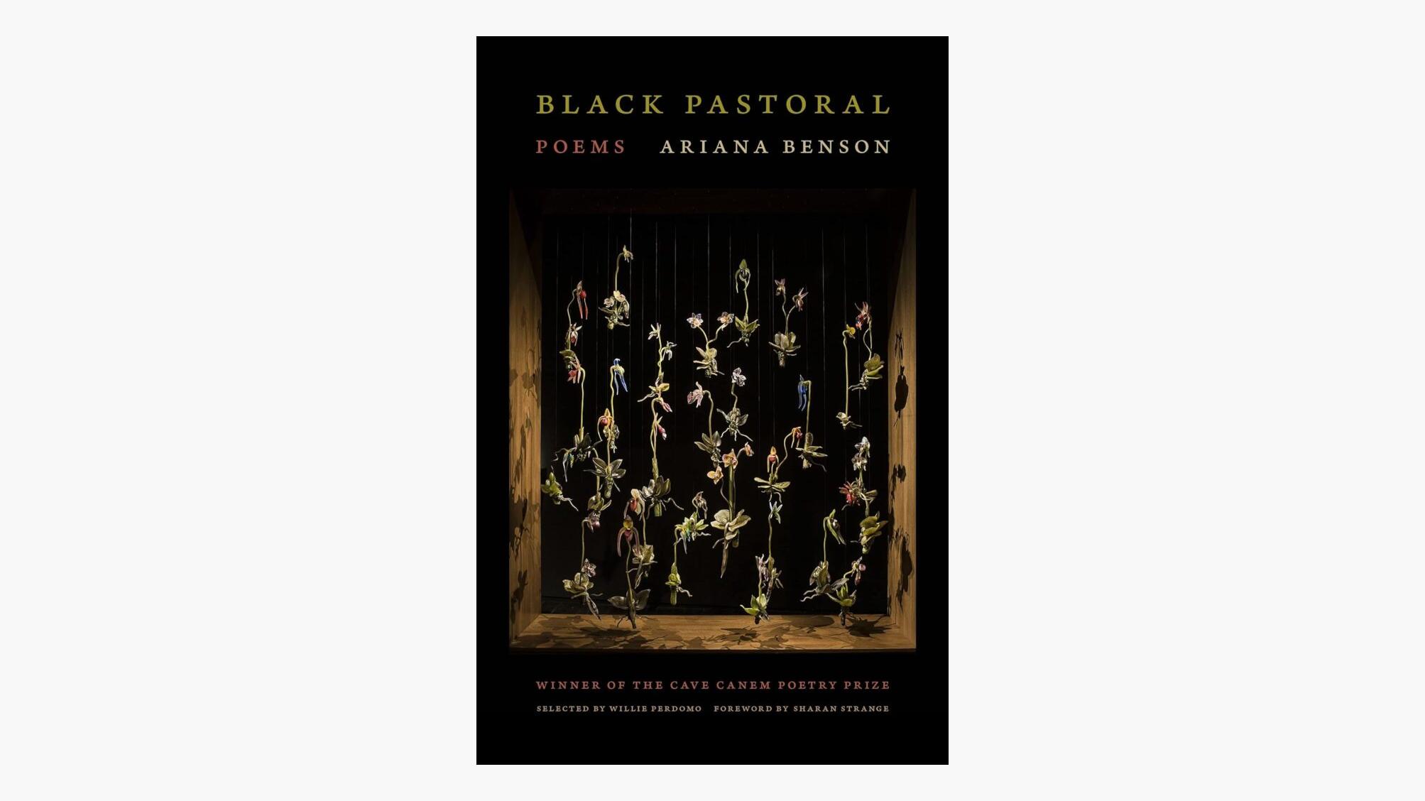 Black Pastoral – Ariana Benson | Full Stop
