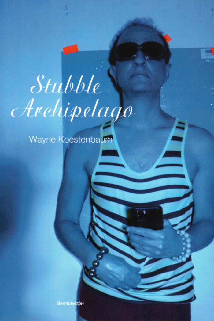Stubble Archipelago – Wayne Koestenbaum | Full Stop
